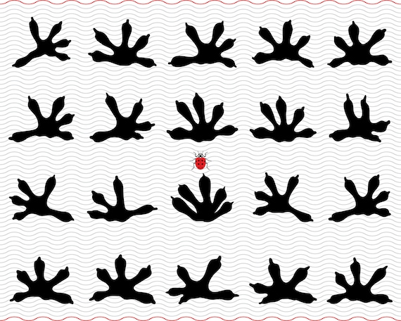 Lizard Footprint Clipart Images