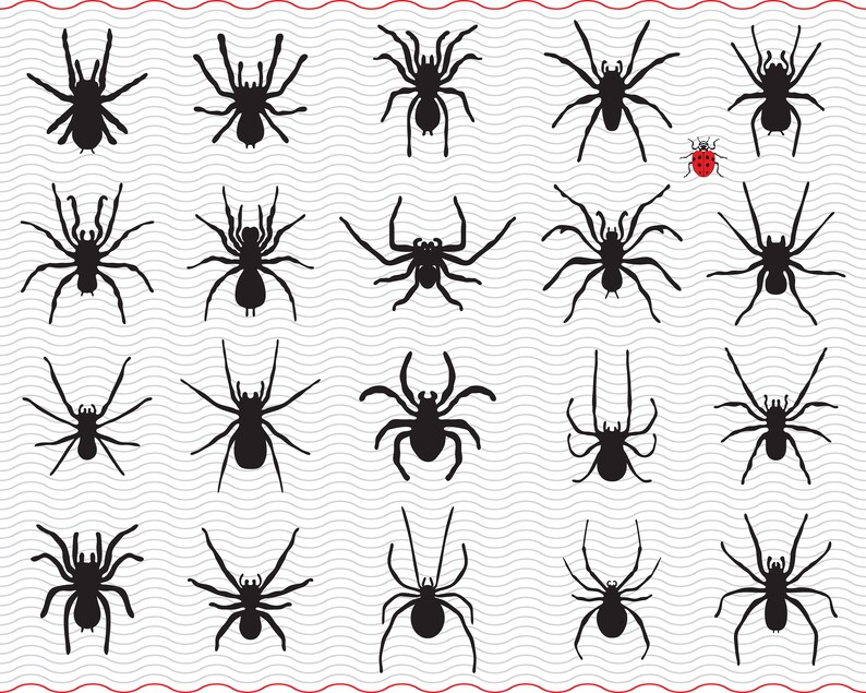 SVG Spiders, Black Silhouettes, Digital Clipart, Files Eps, Jpg ...