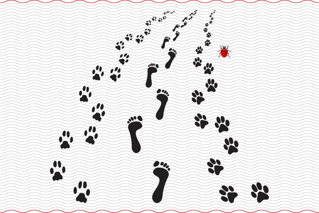 SVG Human Feet and Dog Paws, Black Silhouettes Digital Clipart, Files ...