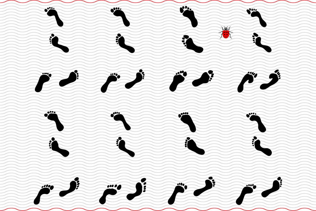 Footprints SVG, Digital Clipart , Black Silhouettes, Eps, Jpg ...