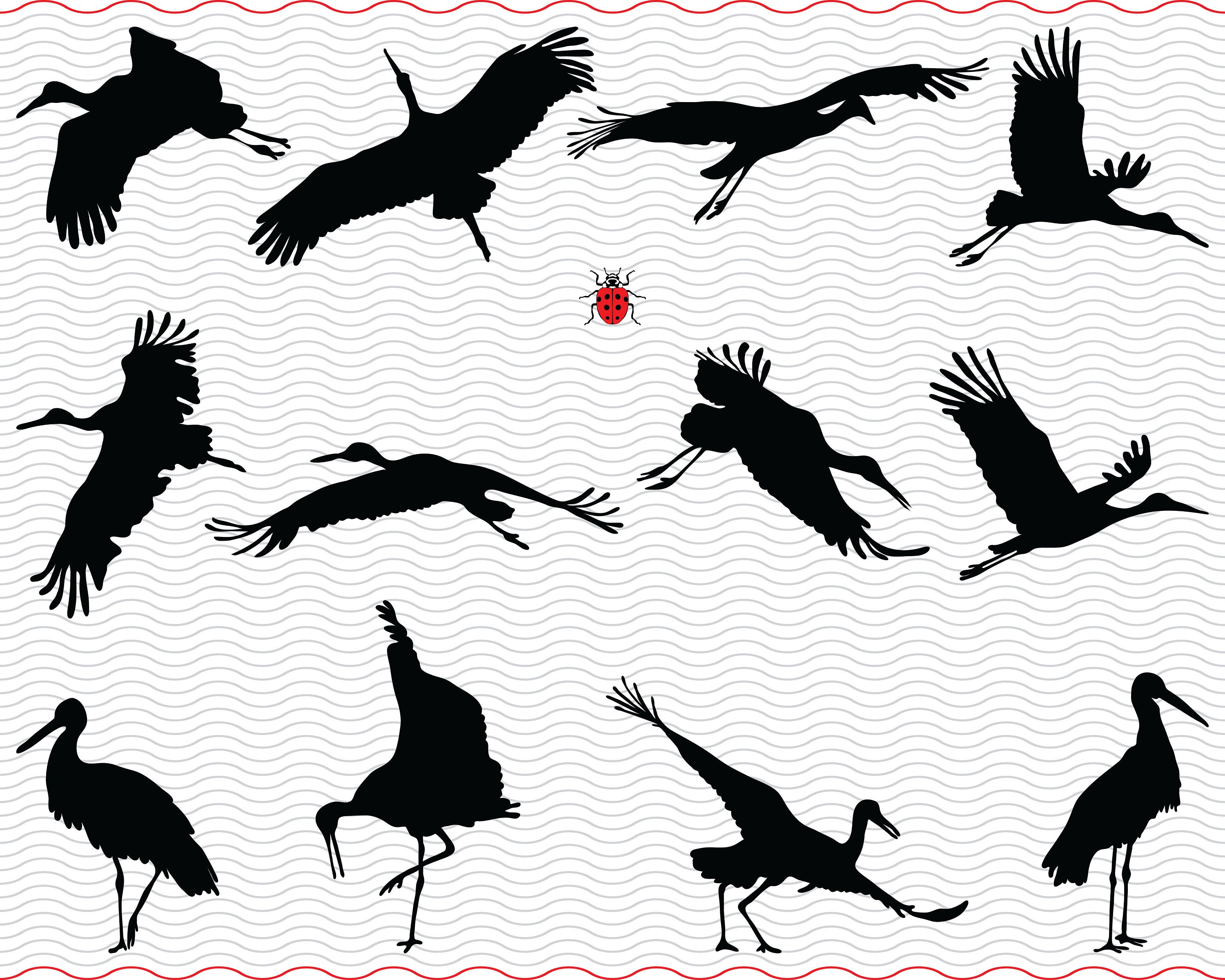 SVG Storks, Black Silhouettes Digital Clipart, Storks Files Eps Jpg ...