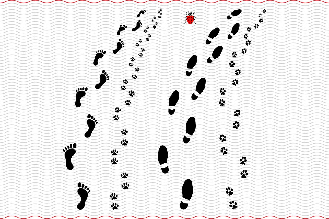 SVG Human Feet and Dog Paws, Black Silhouettes Digital Clipart, Files ...