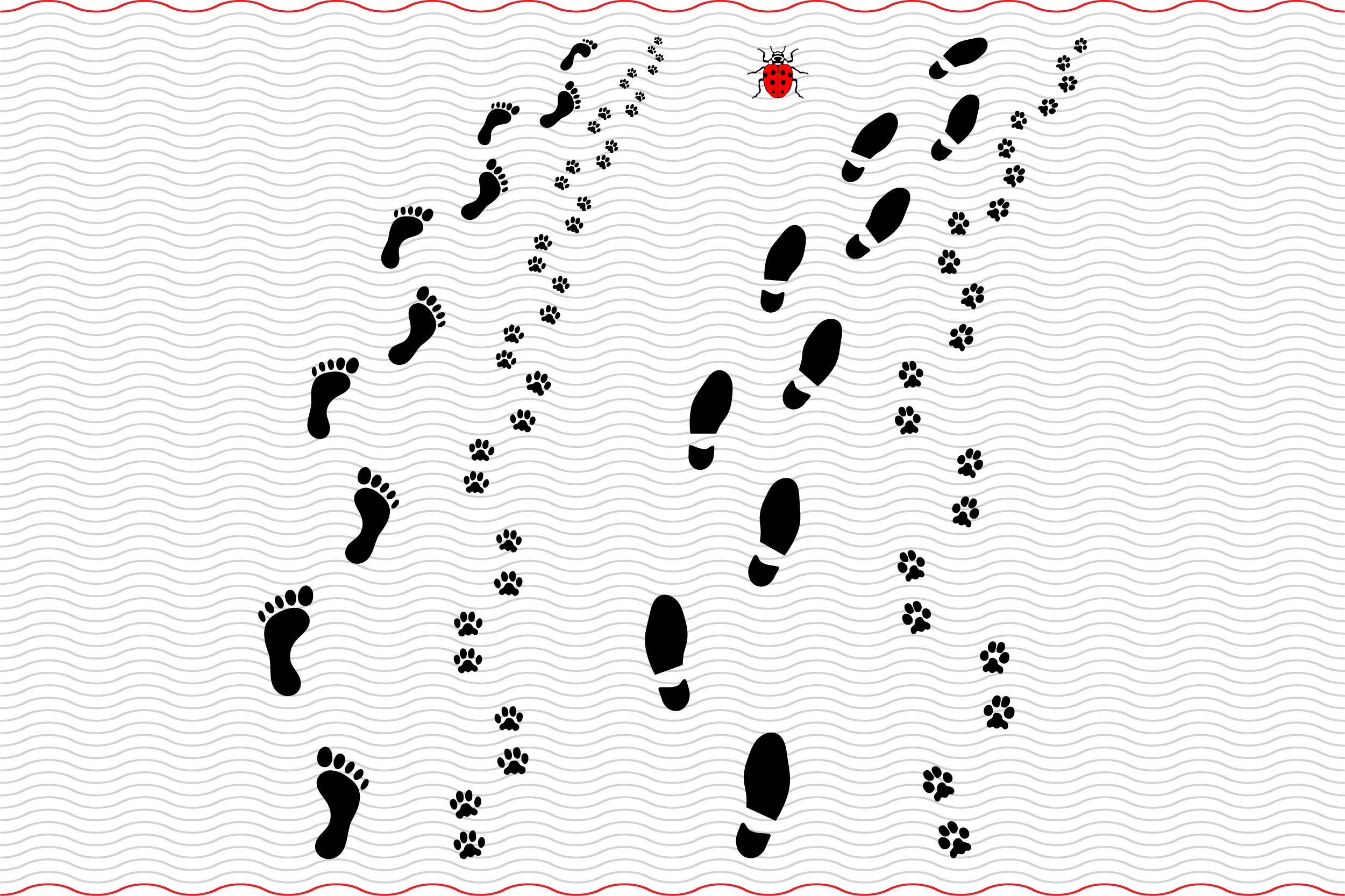 SVG Human Feet and Dog Paws, Black Silhouettes Digital Clipart, Files ...