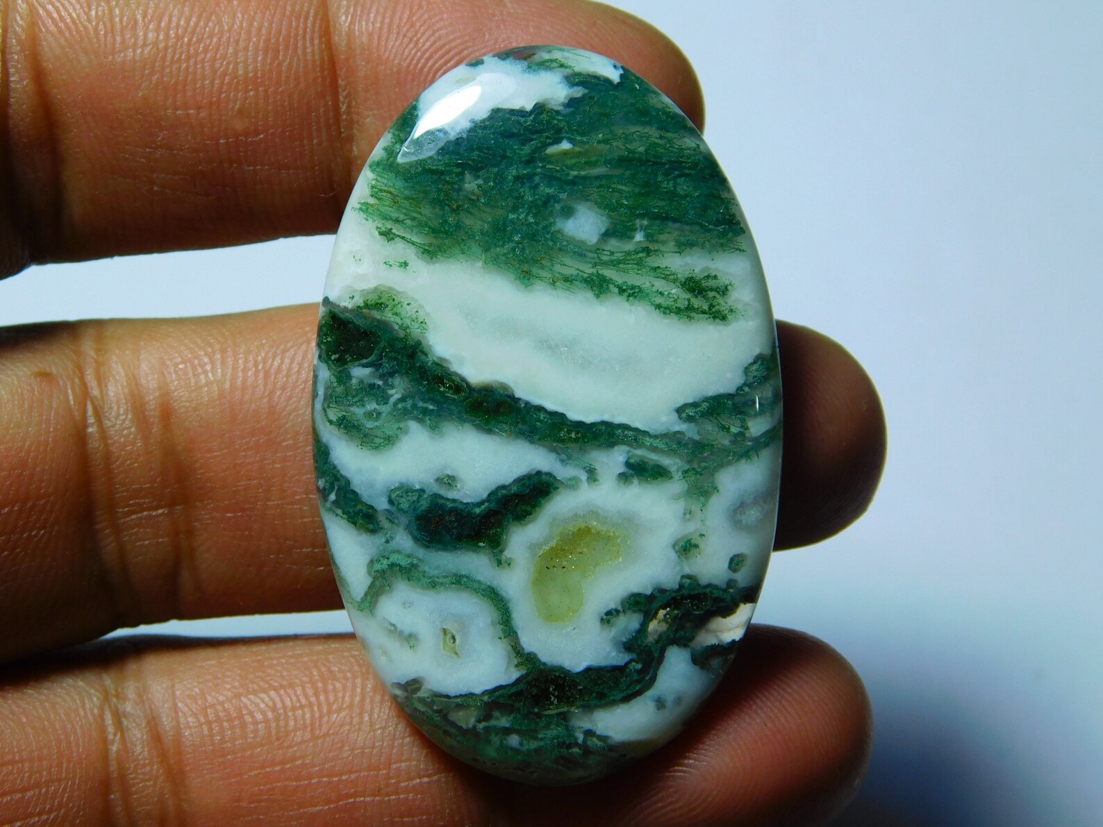 Natural Tree agate CabochonsTree agate gemstoneTree agate | Etsy