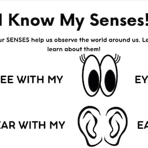 Explore the 5 Senses Printable and Laminateable Science Worksheets for ...