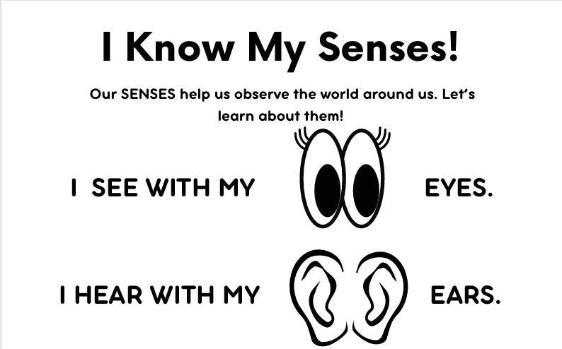 Explore the 5 Senses Printable and Laminateable Science Worksheets for ...
