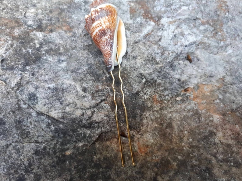 Conch Shell Hair Brass resinfork Hair Pin Shawl Pin Boh - Etsy