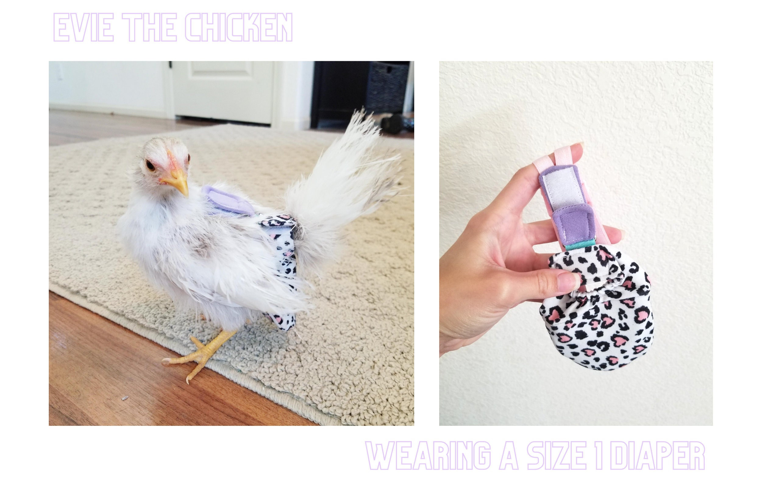 Chicken Diapers Comfort Wear Chicken Diapers Waterproof - Etsy
