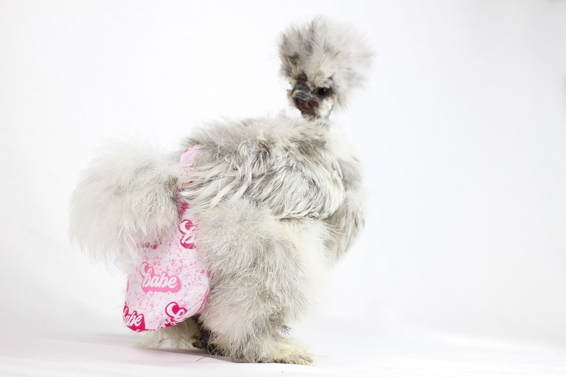 Chicken Diapers Comfort Wear Chicken Diapers Waterproof - Etsy