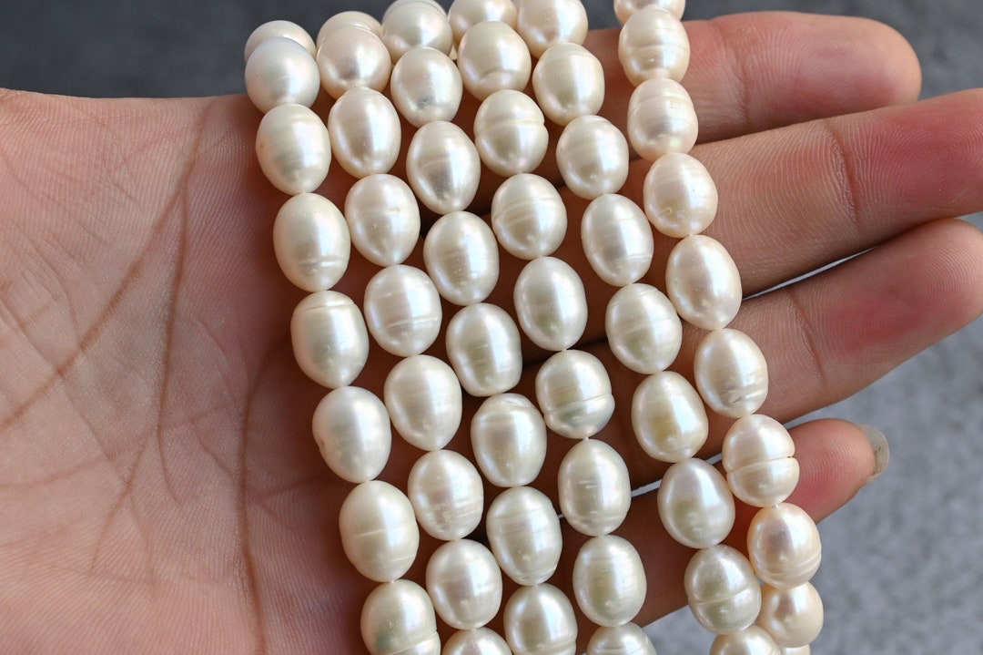 White Oval Ringed Freshwater Pearl for Jewelry Making, Natural High ...