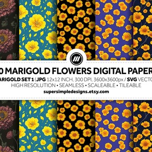 Magical Marigold: Set 1 of Marigold Floral Bliss. Immerse in the Allure ...