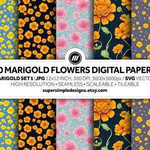 Magical Marigold: Set 1 of Marigold Floral Bliss. Immerse in the Allure ...
