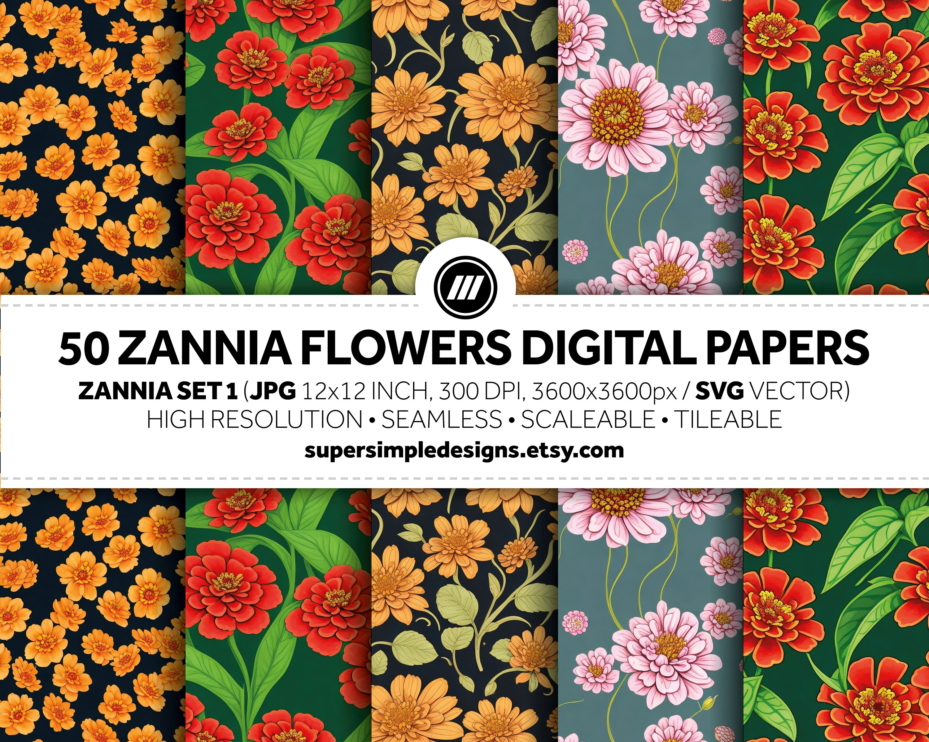 Zinnia Harmony: Set 1 of Zannia Floral Bliss. Immerse Yourself in the ...