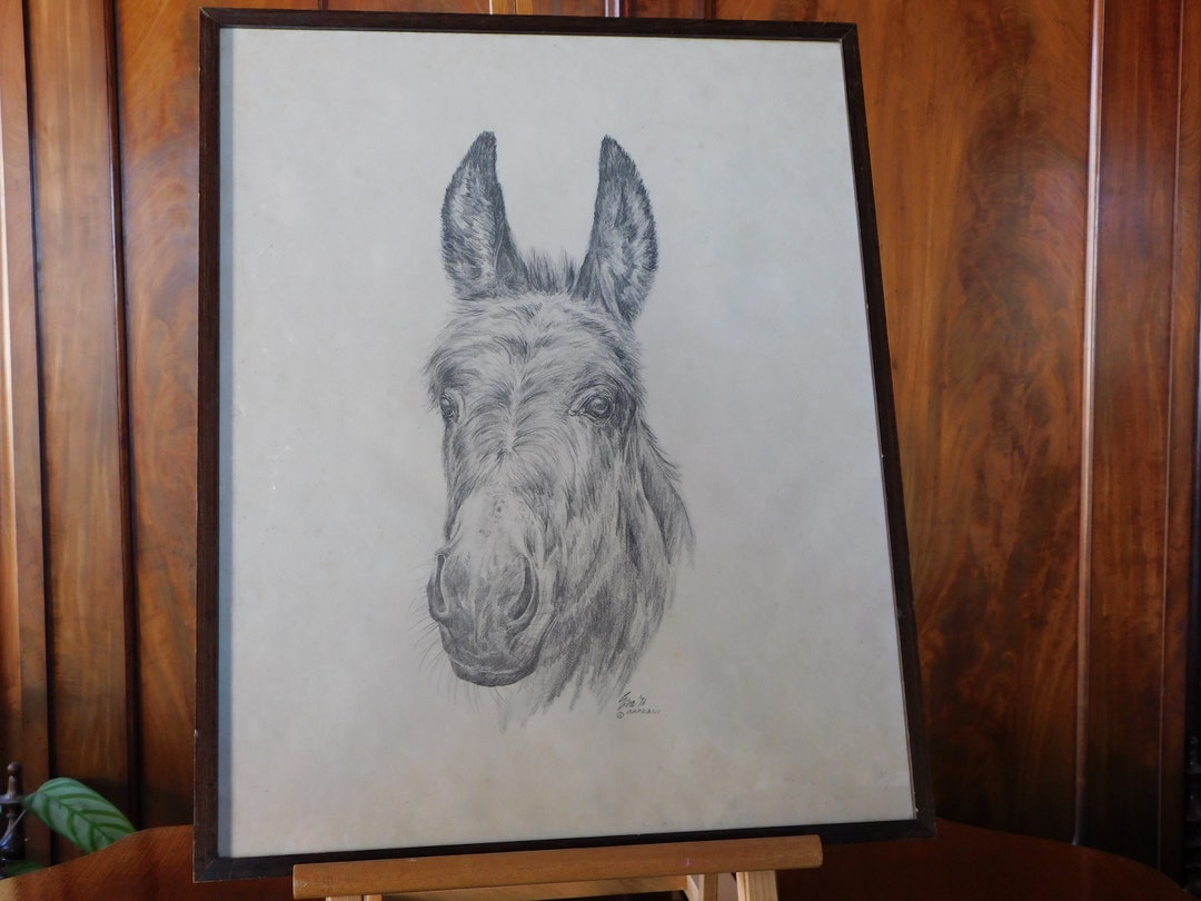 DONKEY HEAD FRAMED Pencil Drawing.eva Caprani Print.animal Donkey ...