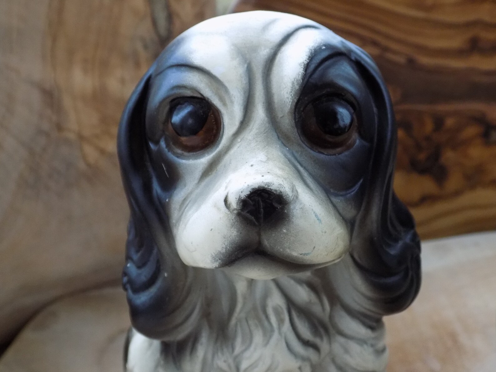 VINTAGE COCKER Spaniel.english Cocker Spaniel.american | Etsy