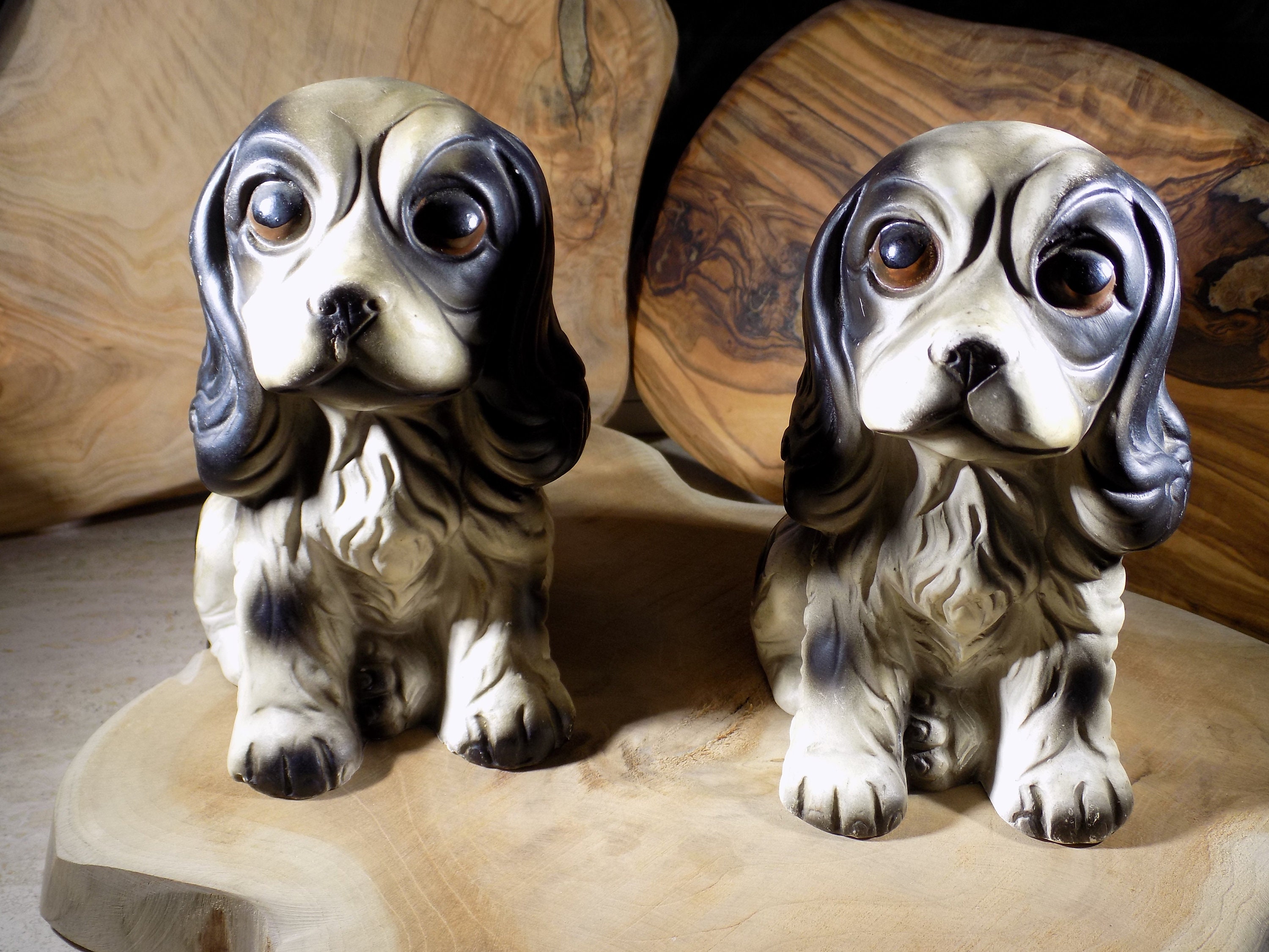 VINTAGE COCKER SPANIEL.English Cocker Spaniel.American | Etsy