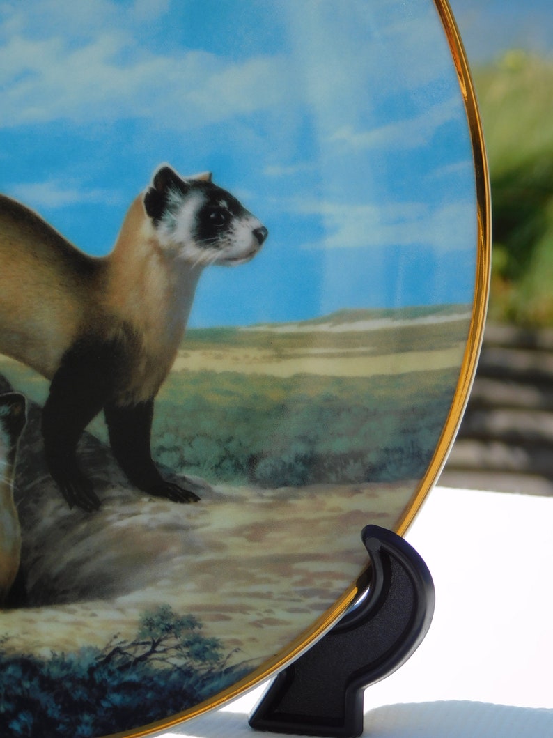 THE BLACK-FOOTED Ferret Collectors Plate.w.s.george Fine China.last of ...