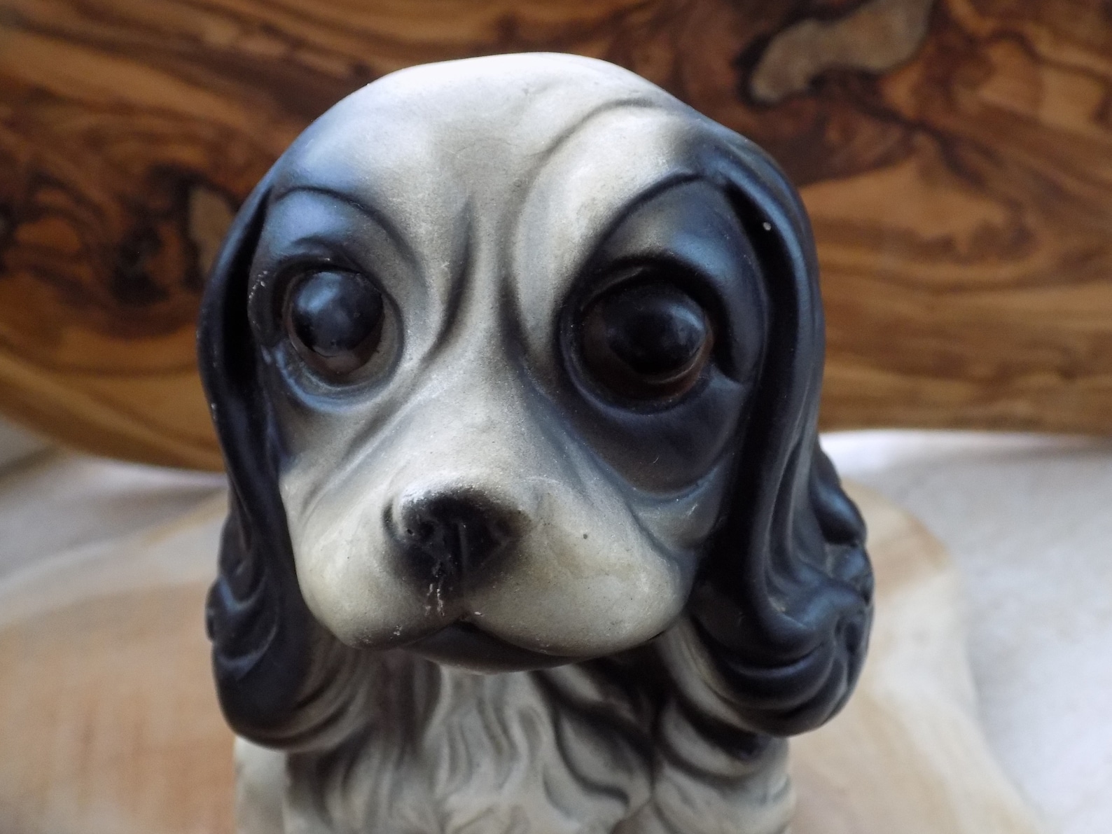 VINTAGE COCKER Spaniel.english Cocker Spaniel.american | Etsy