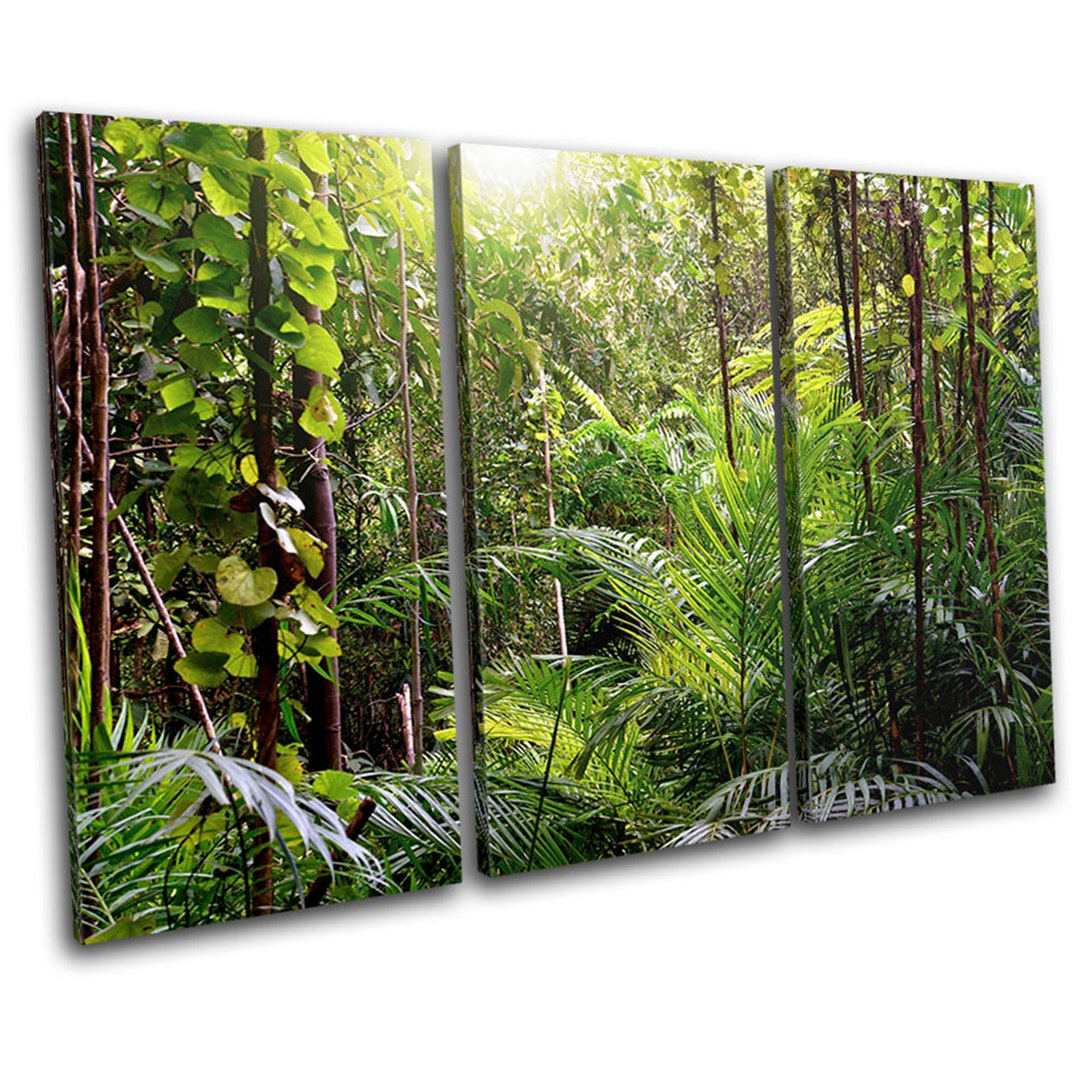 Tropical Rainforest Jungle Landscapes TREBLE Canvas Art Print Box ...
