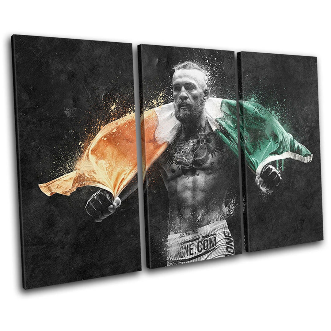 Conor Mcgregor UFC MMA Grunge Abstract Irish Flag Sports Canvas Art ...