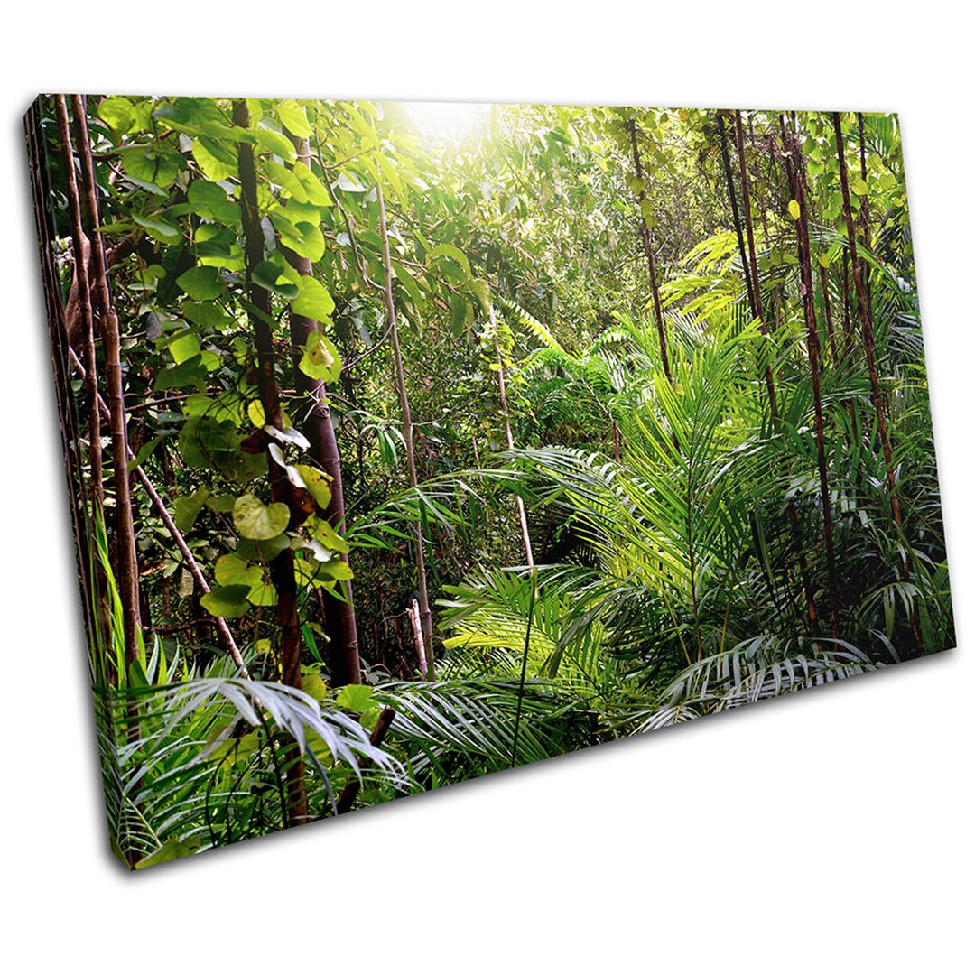 Tropical Rainforest Jungle Landscapes SINGLE Canvas Art Print Box ...
