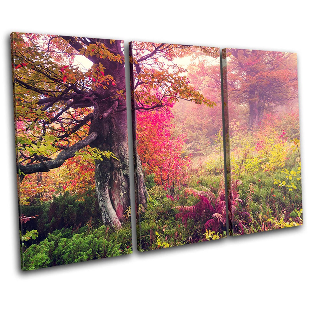 Autumn Trees Pink Leaves Landscapes TREBLE Canvas Art Print Box Framed ...