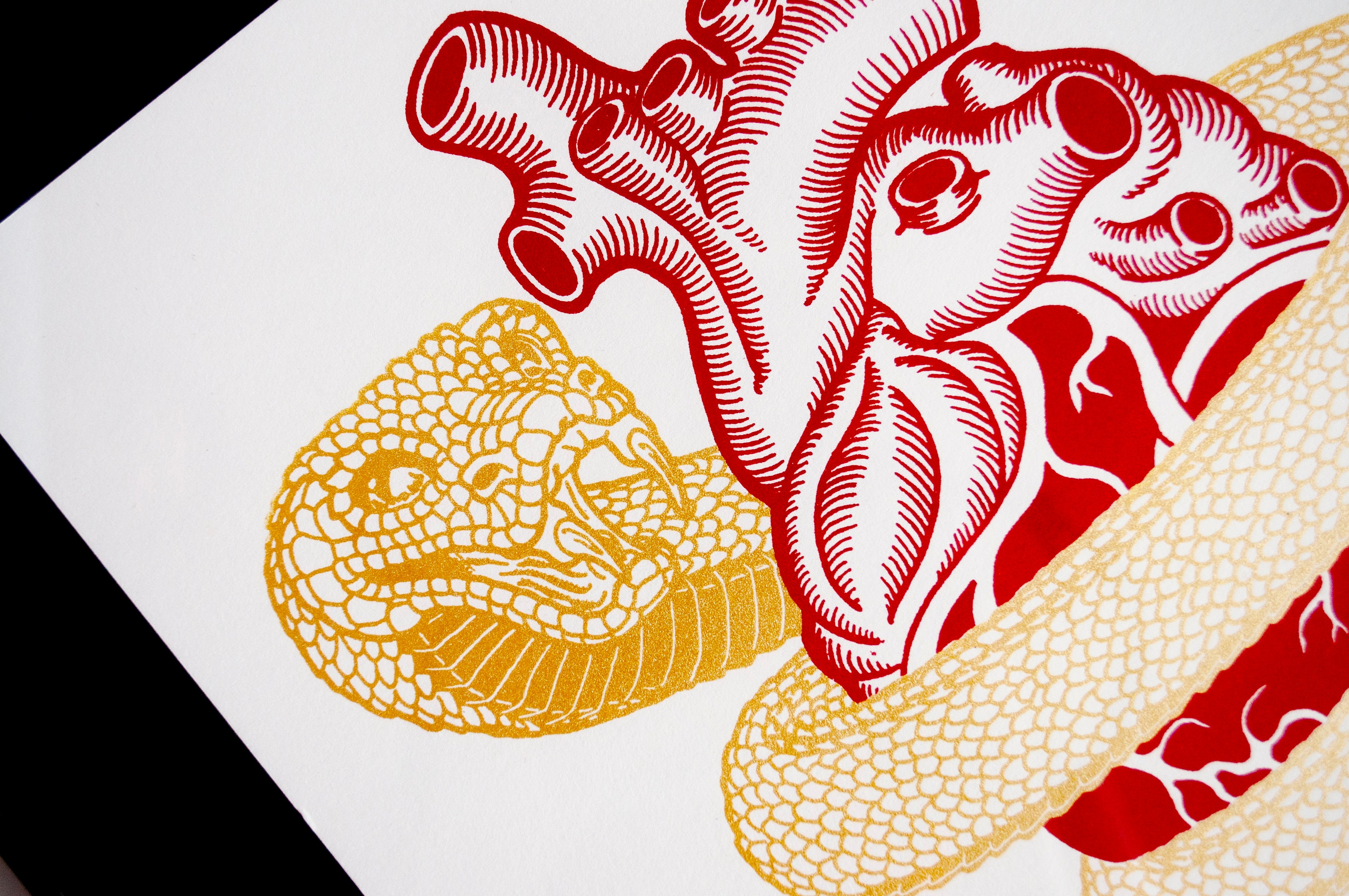 Snake Bite Heart Screen Print - Etsy