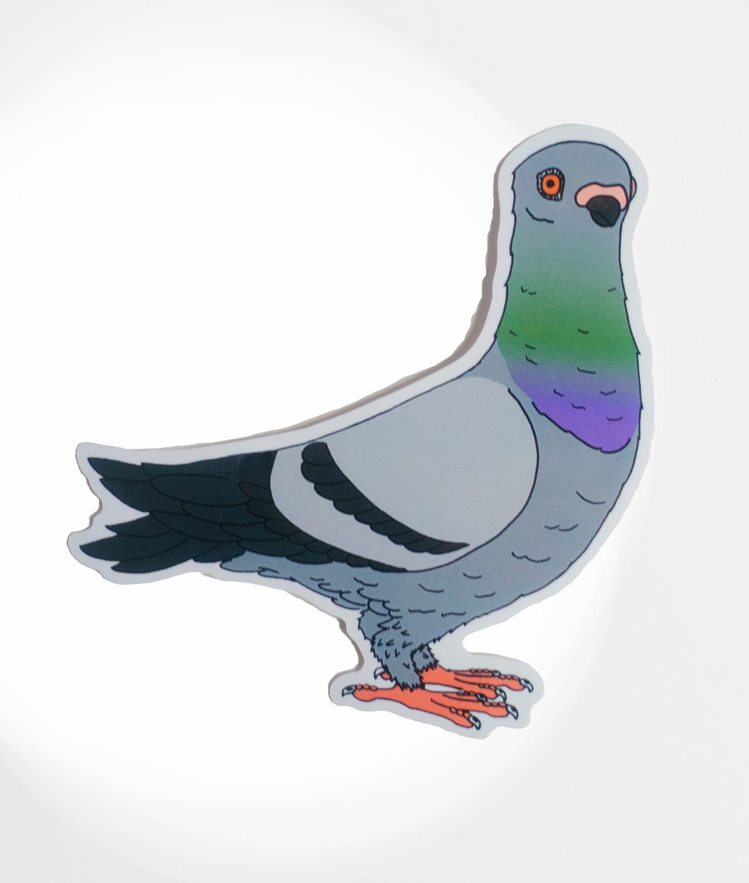 Pigeon Vinyl Sticker - Etsy