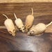 Nice Mice !! Please Adopt One or Two or Four! Unique Mice - Etsy