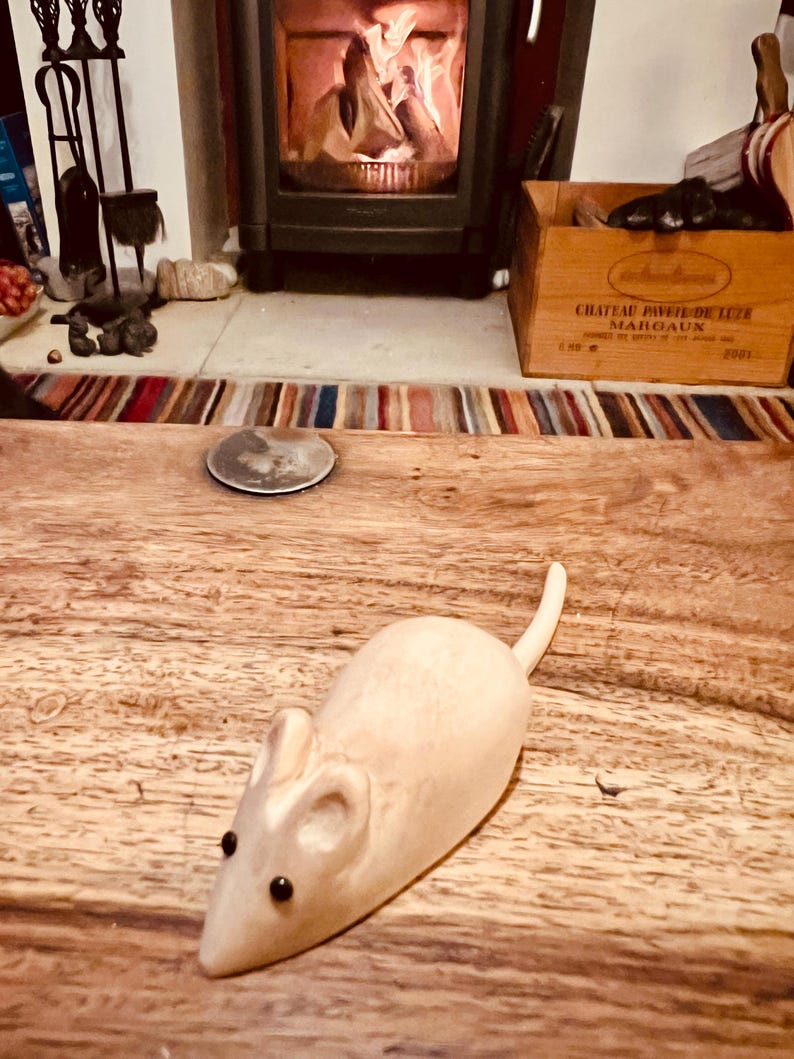 Nice Mice !! Please Adopt One or Two or Four! Unique Mice - Etsy