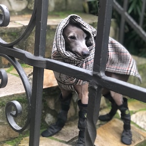 Wool Coat Italian Greyhound - Etsy