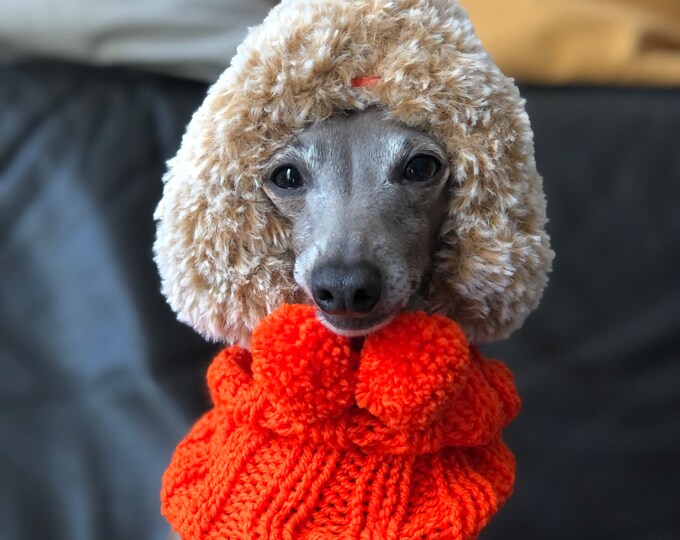 Hoodie Snoodie Italian Greyhound Orange - Etsy
