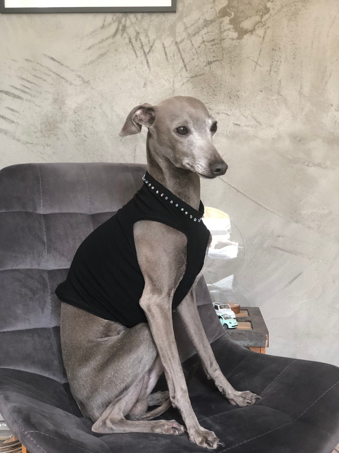 Italian Greyhound Summer Shirt With Disco Beads - Etsy