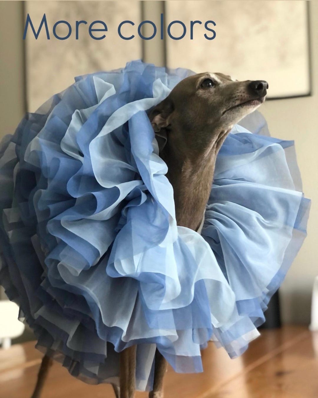 Italian Greyhound Tulle Dress Double MORE COLORS - Etsy