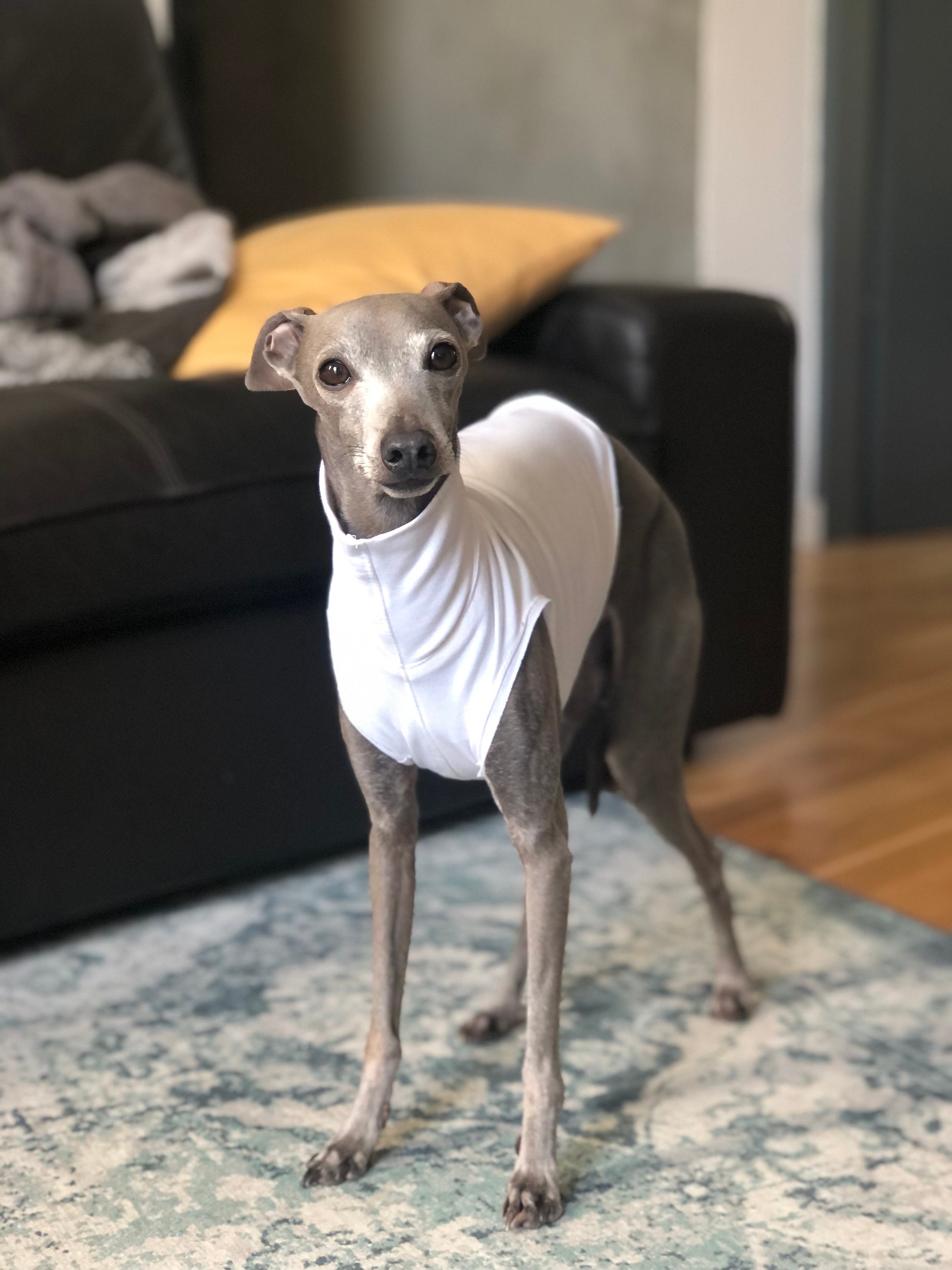Italian Greyhound Turtleneck Shirt - Etsy