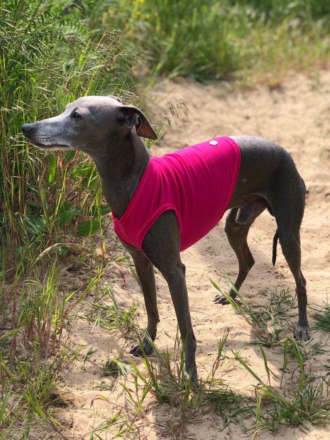 Italian Greyhound Summer Shirt Sport Shirt Pink - Etsy