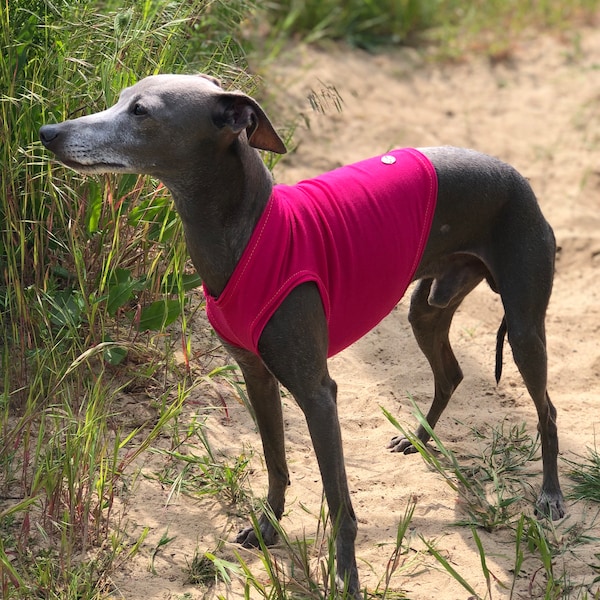 Italian Greyhound Summer Shirt - Etsy