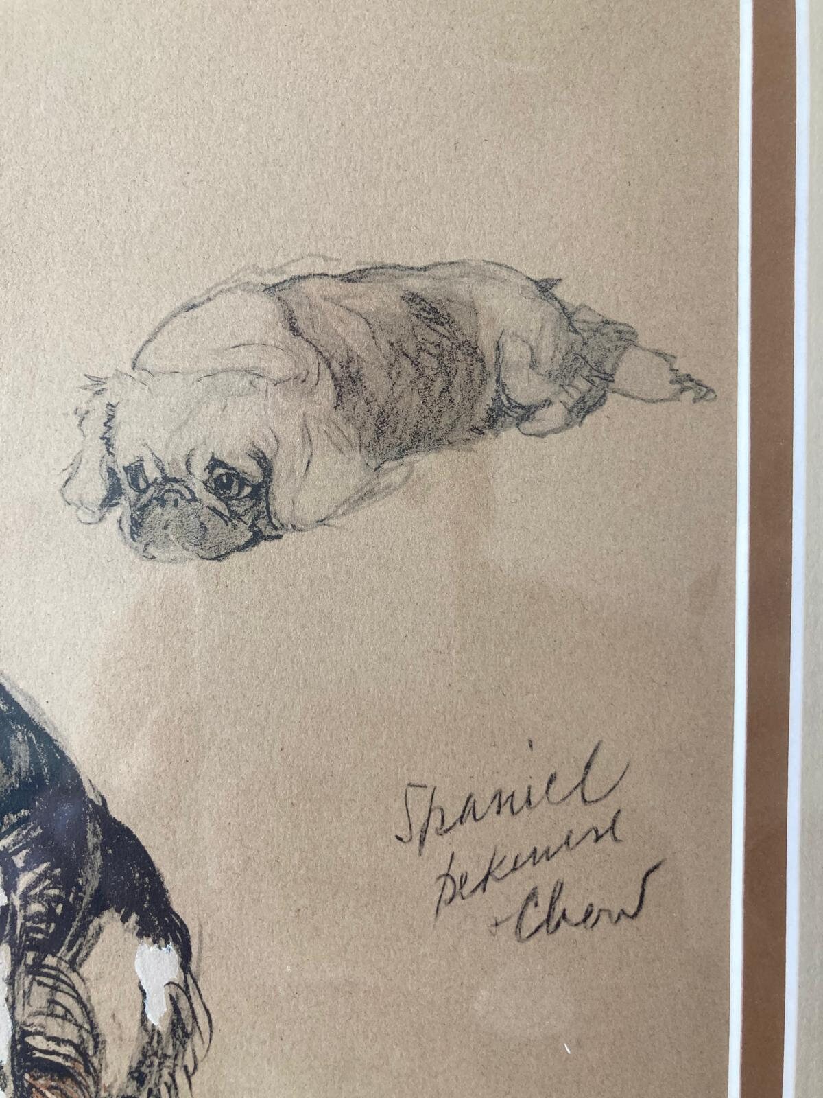 Rare Antique Cecil Aldin Lithograph - “spaniel, Pekinese, and Chow ...