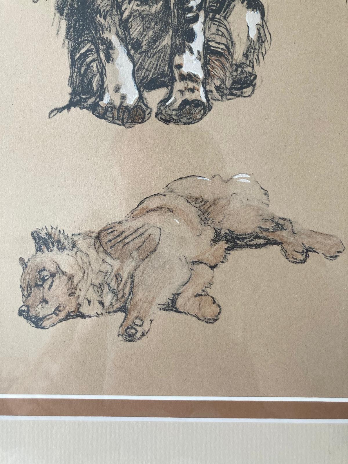 Rare Antique Cecil Aldin Lithograph - “spaniel, Pekinese, and Chow ...