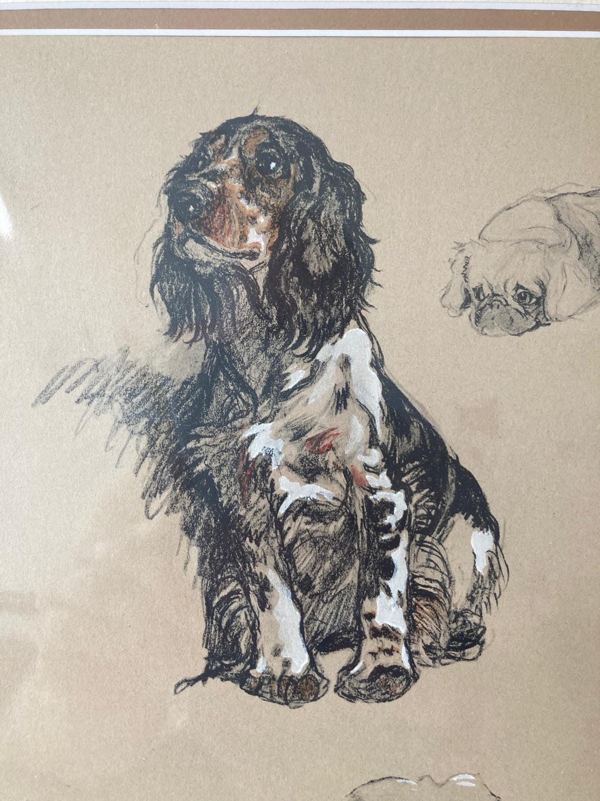 Rare Antique Cecil Aldin Lithograph - “spaniel, Pekinese, and Chow ...