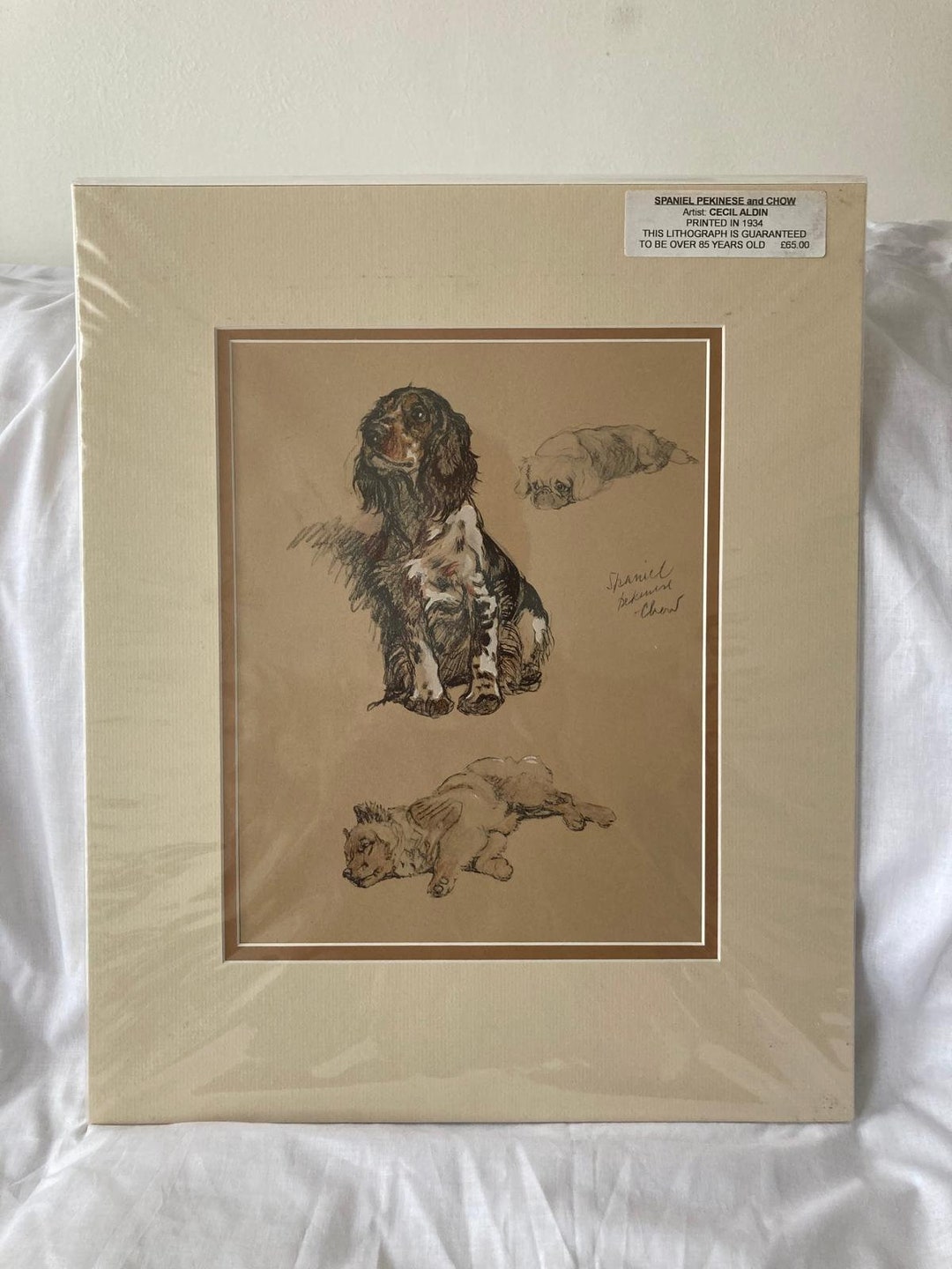 Rare Antique Cecil Aldin Lithograph - “spaniel, Pekinese, and Chow ...