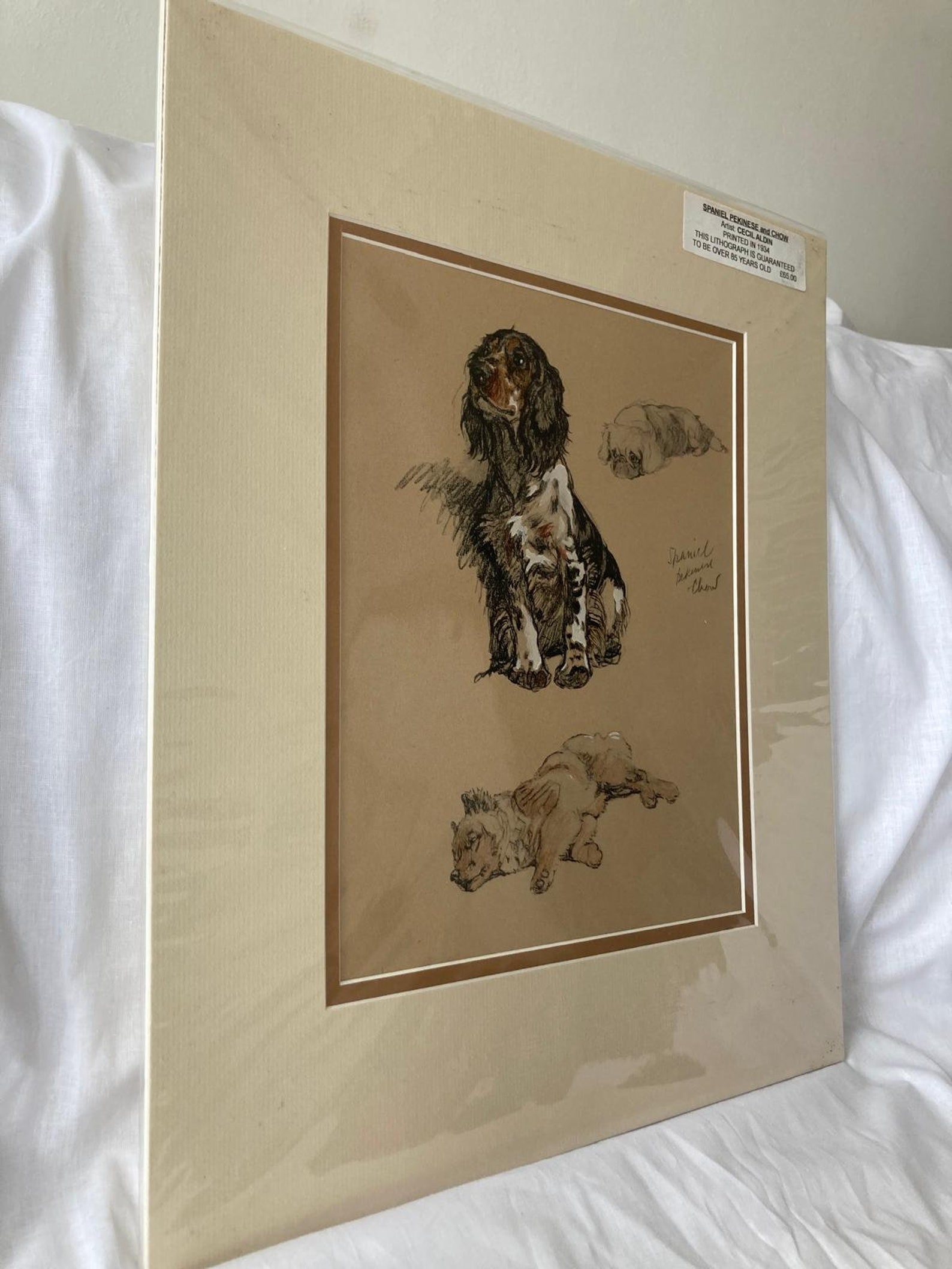 Rare Antique Cecil Aldin Lithograph - “spaniel, Pekinese, and Chow ...