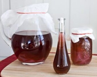 Vinegar Mother - Etsy
