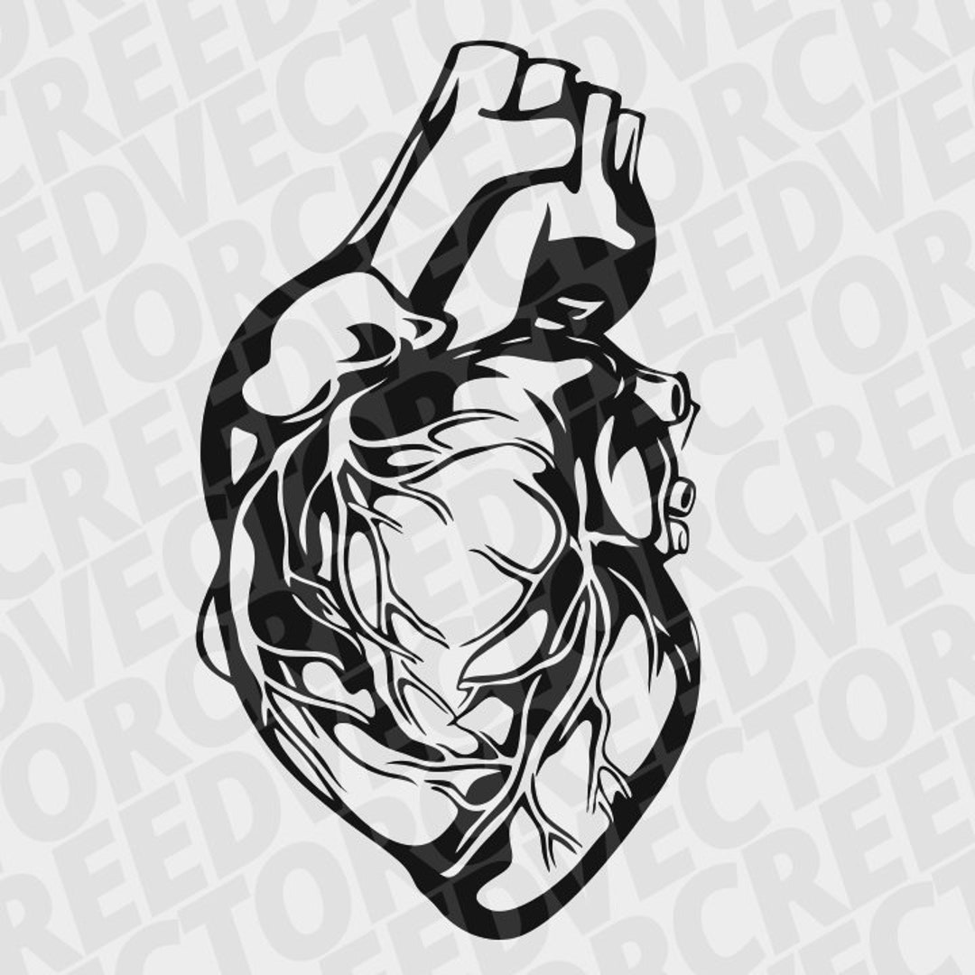 Human Heart Svg, Anatomical Heart Svg, Love Svg, Medical Svg, Heart ...