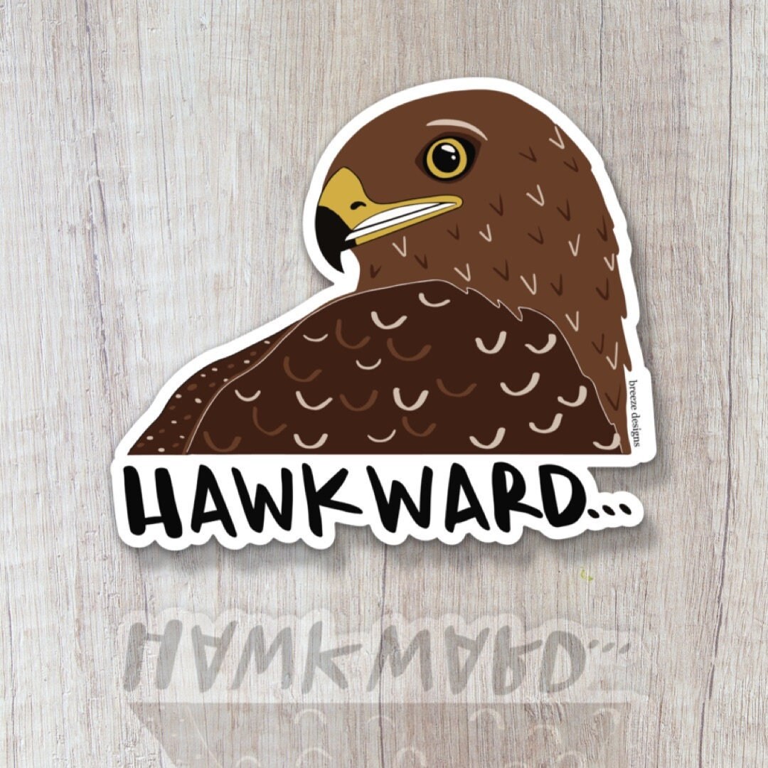 Hawkward Hawk