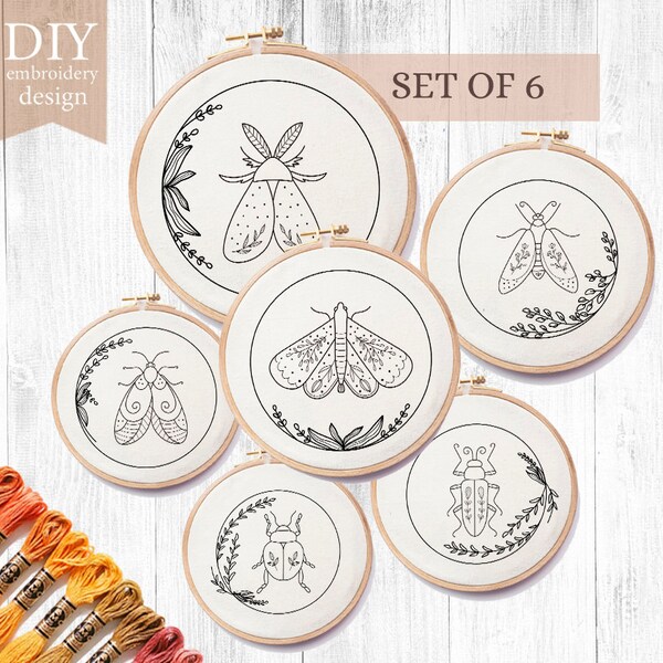 Insect Collection - Etsy