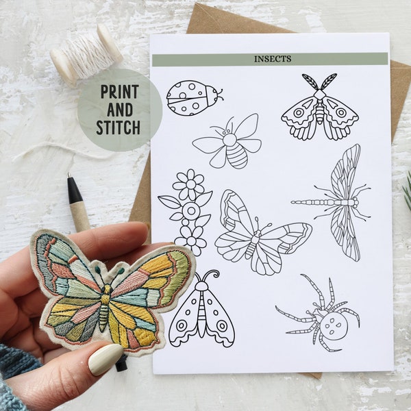 Insect Collection - Etsy