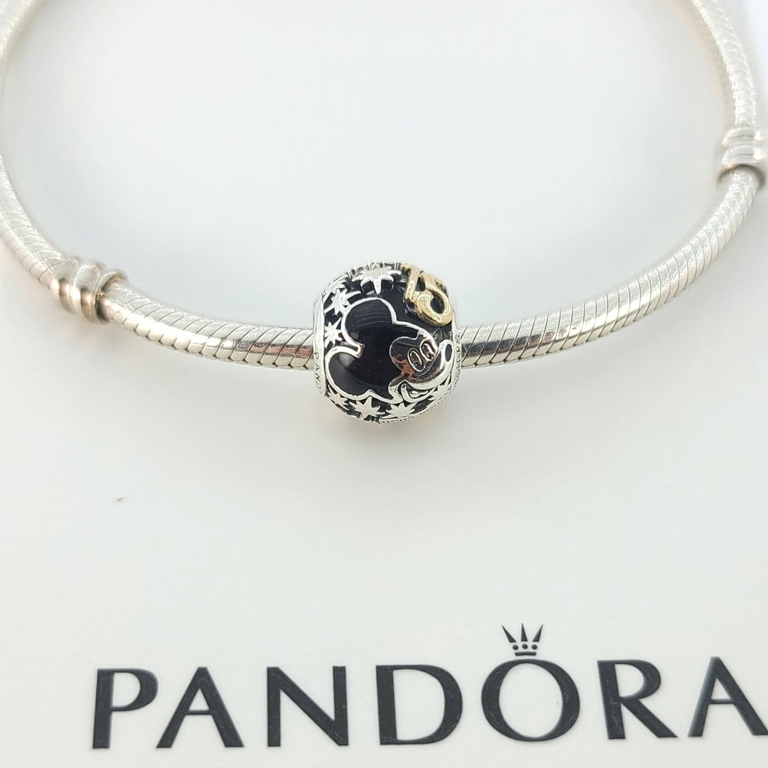 New Sterling Silver Hong Kong Disney Exclusive 15th Anniversary Charm ...