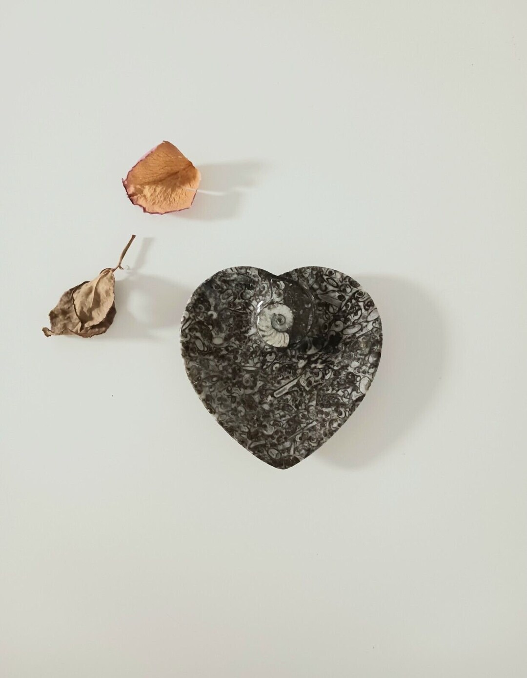 Fossil Stone Small Heart Tray - Black Orthoceras and Ammonite Trinket ...