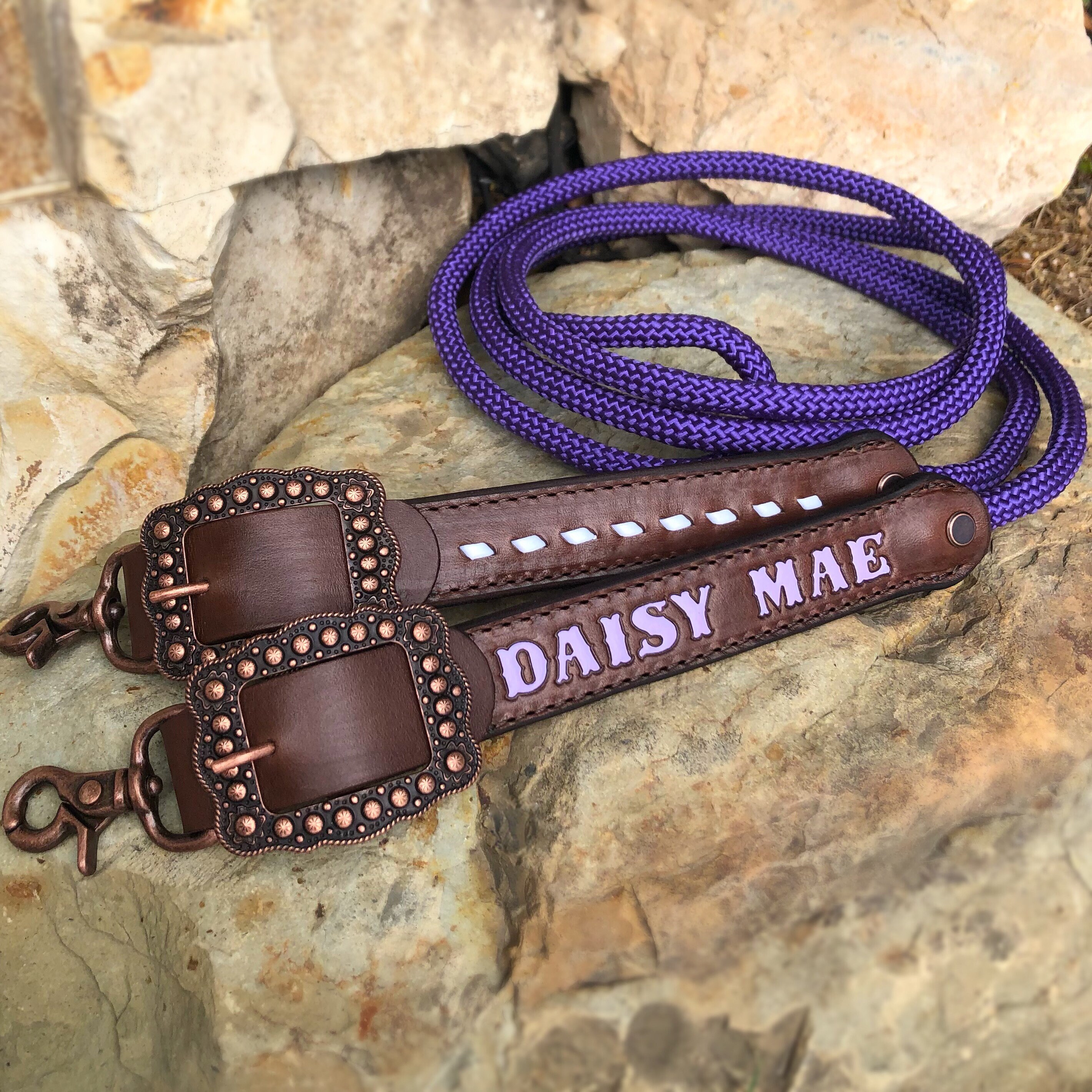 Customizable Leather and Rope Reins - Etsy